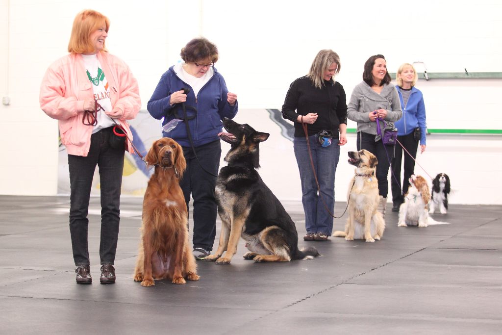 Schedule of Dog Training Classes, Activities, Events in Twin Cities ...